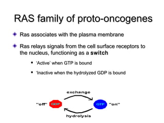 Cancer and genetic influences | PPT