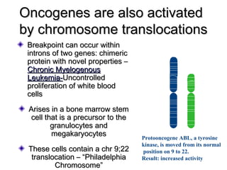 Cancer and genetic influences | PPT