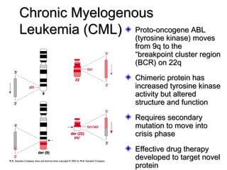Cancer and genetic influences | PPT