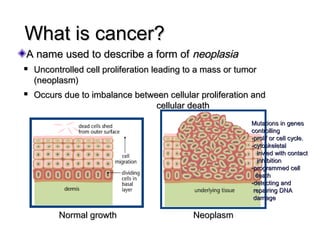 Cancer and genetic influences | PPT