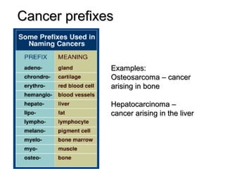 Cancer and genetic influences | PPT