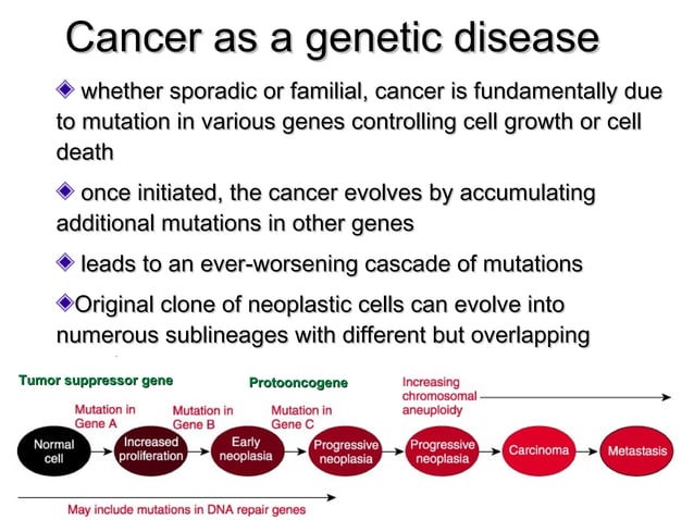 Cancer and genetic influences | PPT