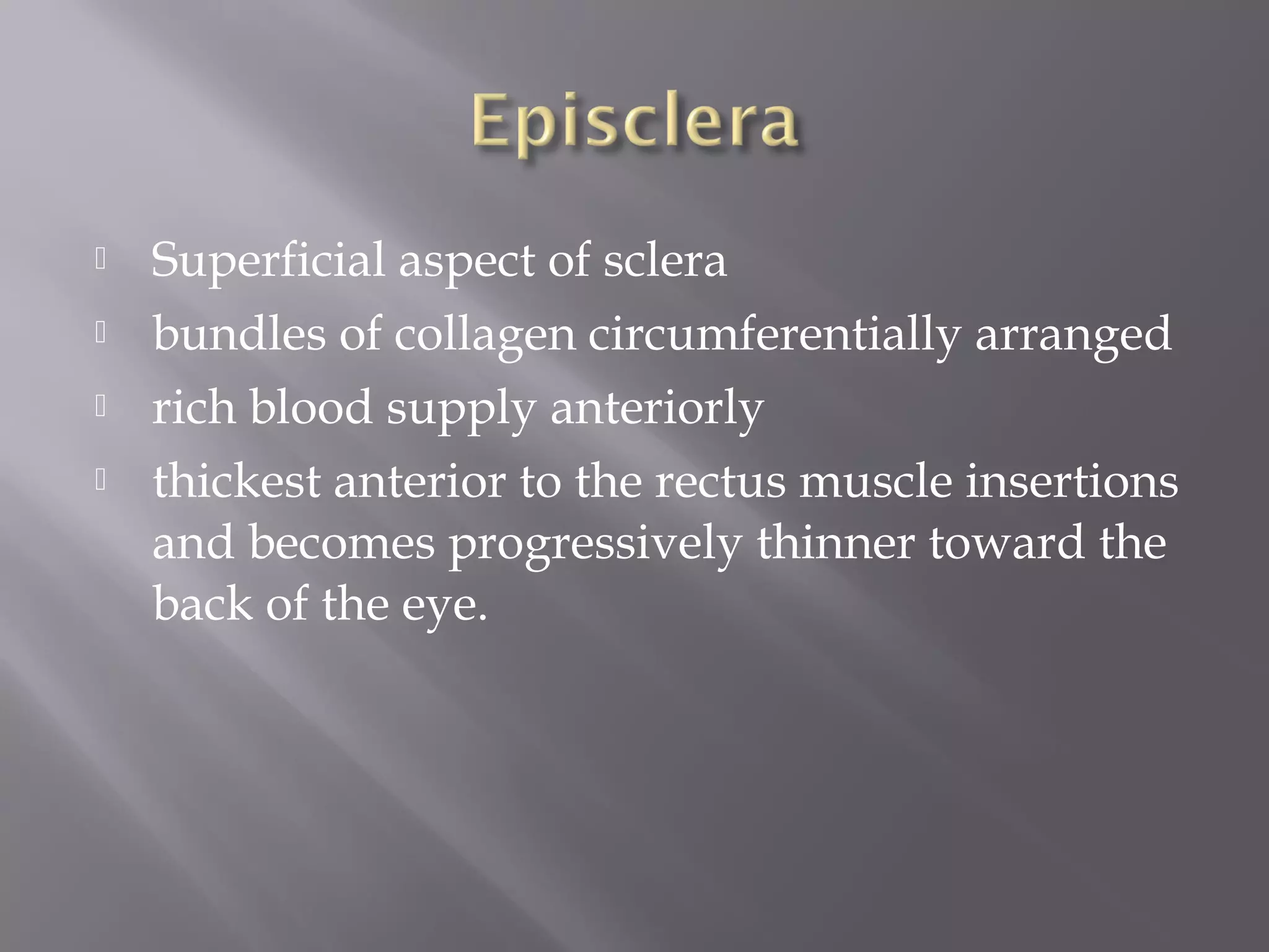 Anatomy Of Sclera | PPT