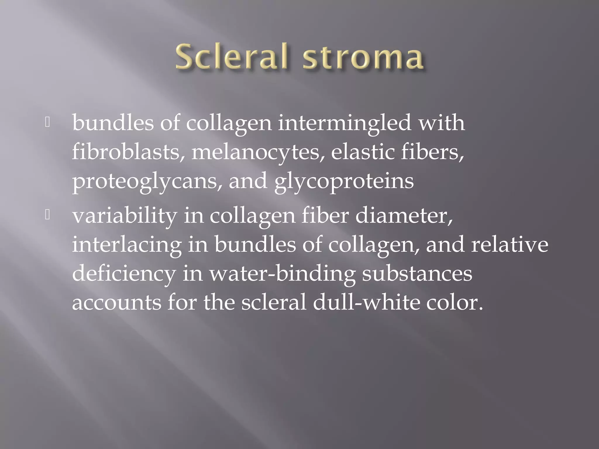Anatomy Of Sclera | PPT