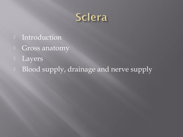 Anatomy Of Sclera | PPT | Eye and Vision Conditions | Diseases and ...