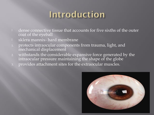 Anatomy Of Sclera | PPT | Eye and Vision Conditions | Diseases and ...