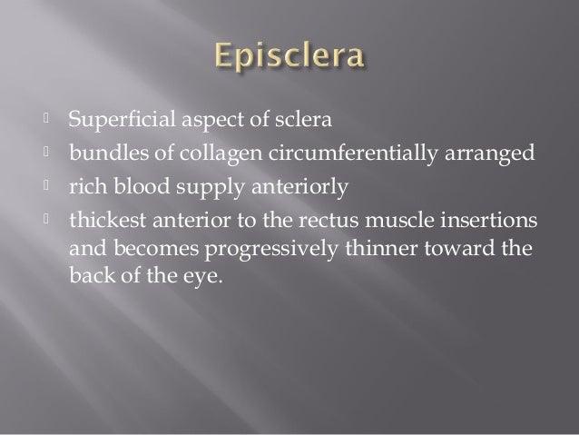 Anatomy Of Sclera