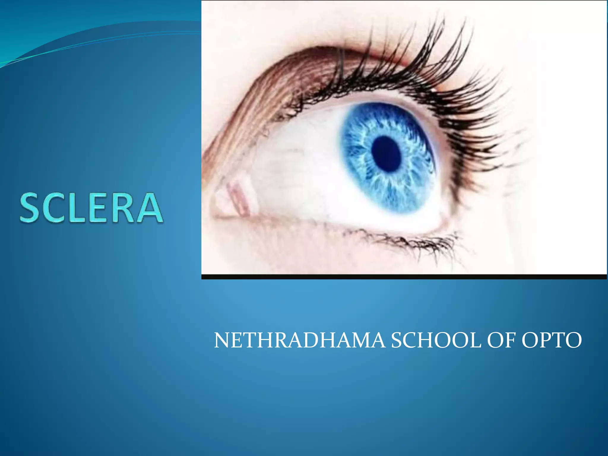Sclera | PPTX