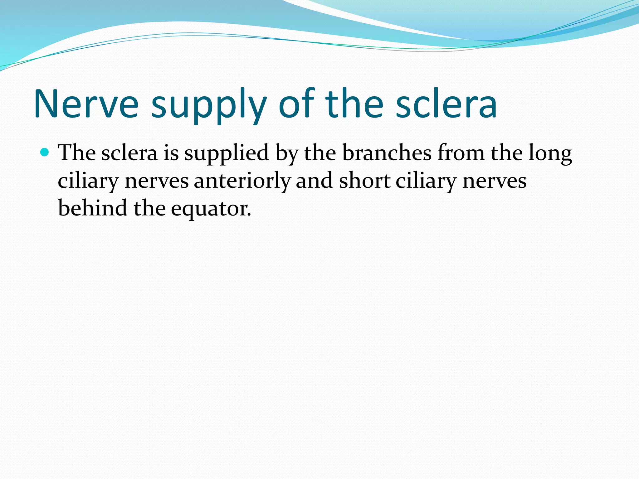 Sclera | PPTX