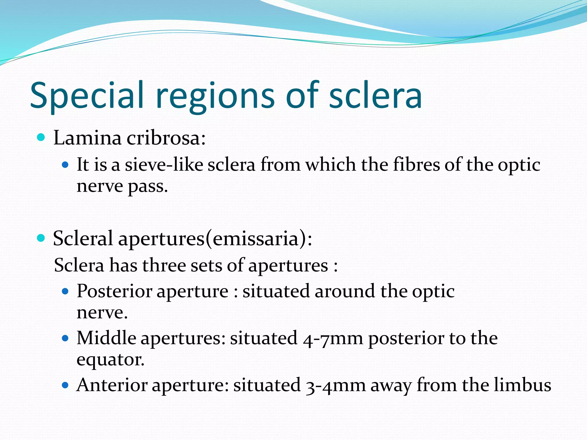 Sclera | PPTX