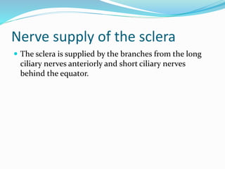 Sclera | PPTX