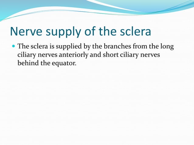 Sclera | PPTX | Eye and Vision Conditions | Diseases and Conditions