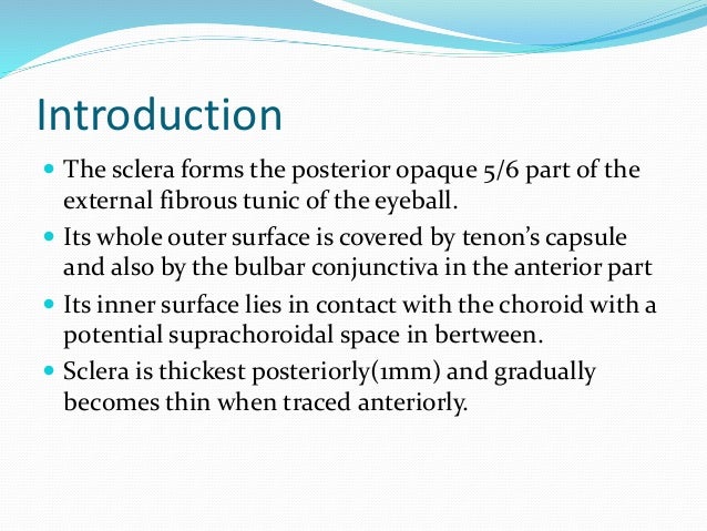 Sclera