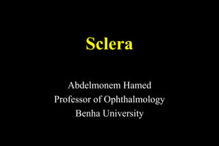 Sclera | PPT