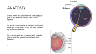 SCLERA.pptx