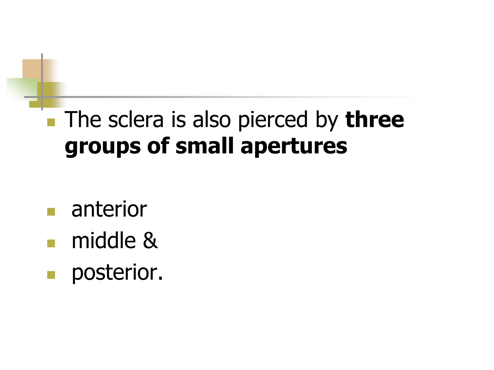anatomy of the sclera by sir azmat jehan | PPT