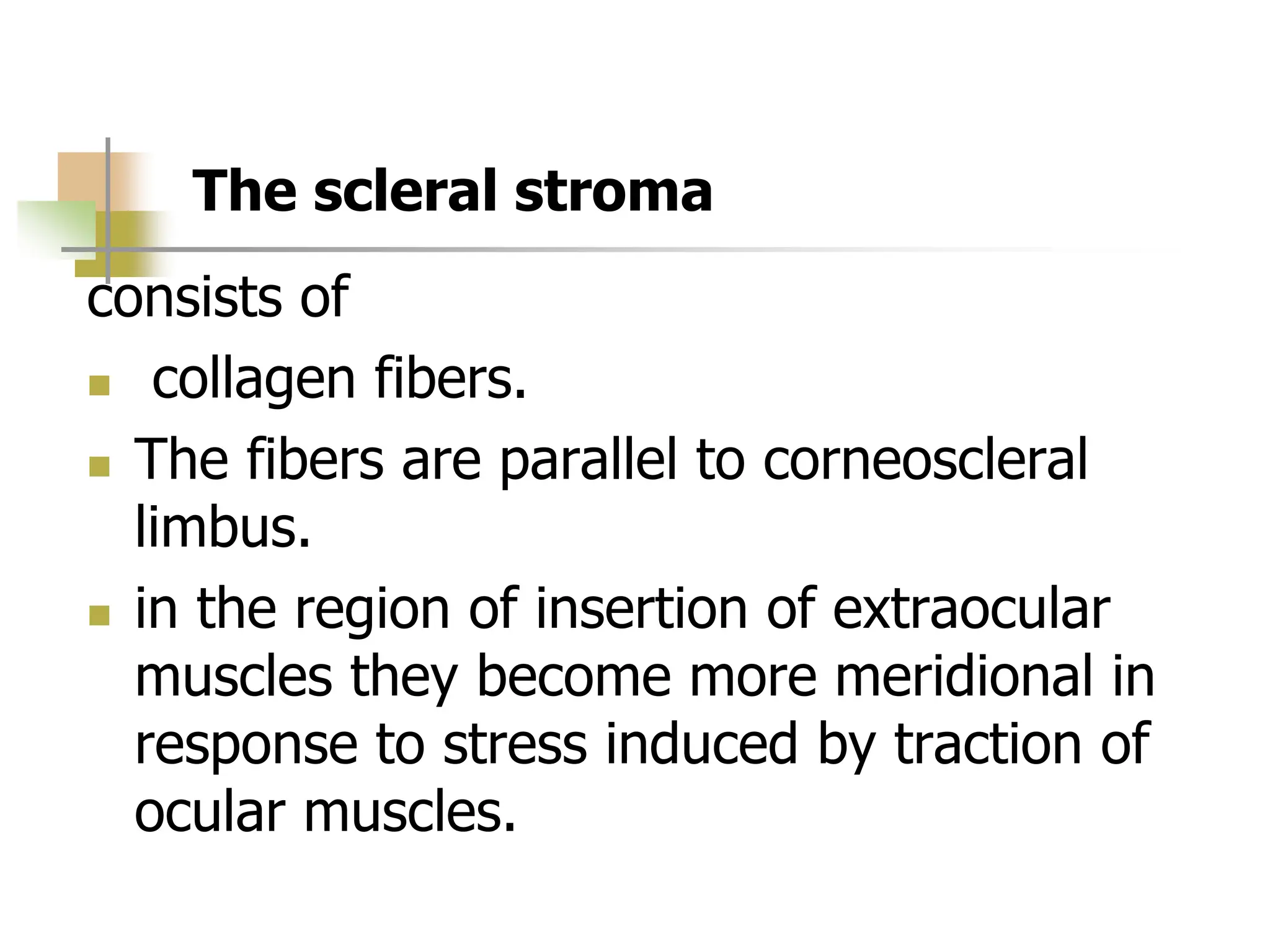anatomy of the sclera by sir azmat jehan | PPT