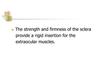anatomy of the sclera by sir azmat jehan | PPT | Eye and Vision ...
