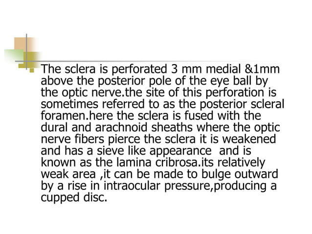anatomy of the sclera by sir azmat jehan | PPT | Eye and Vision ...