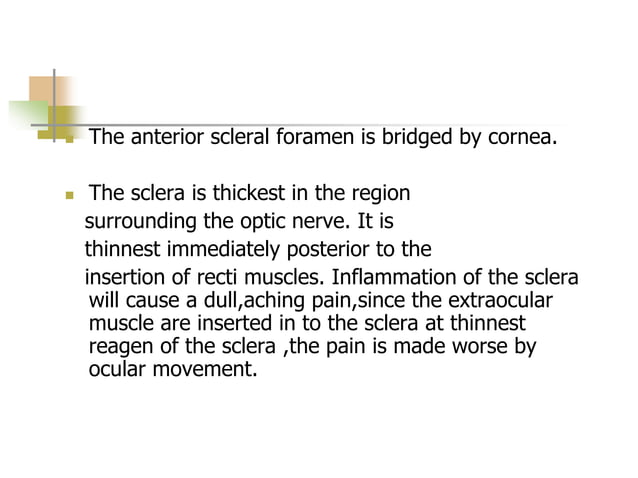 anatomy of the sclera by sir azmat jehan | PPT | Eye and Vision ...