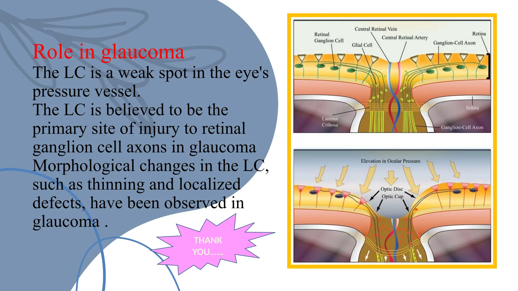 sclera,APPLIED ANATOMY,Thickness of sclera,Apertures,layers, Nerve ...