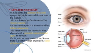 sclera,APPLIED ANATOMY,Thickness of sclera,Apertures,layers, Nerve ...