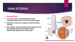 Sclera by Abhimanyu.pptx is important to me and teacher | PPTX
