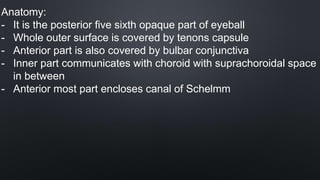 Sclera | PPTX