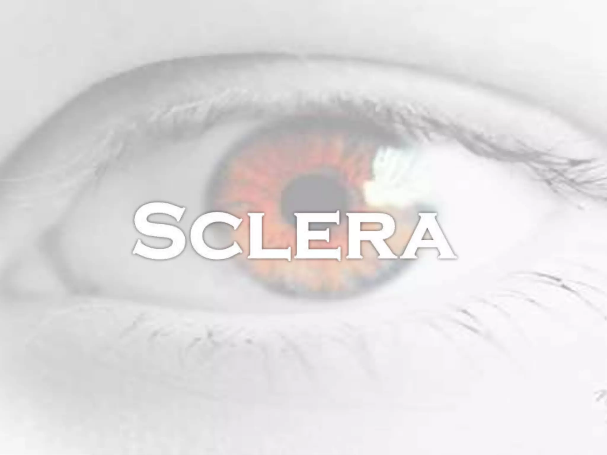 anatomy of sclera | PDF