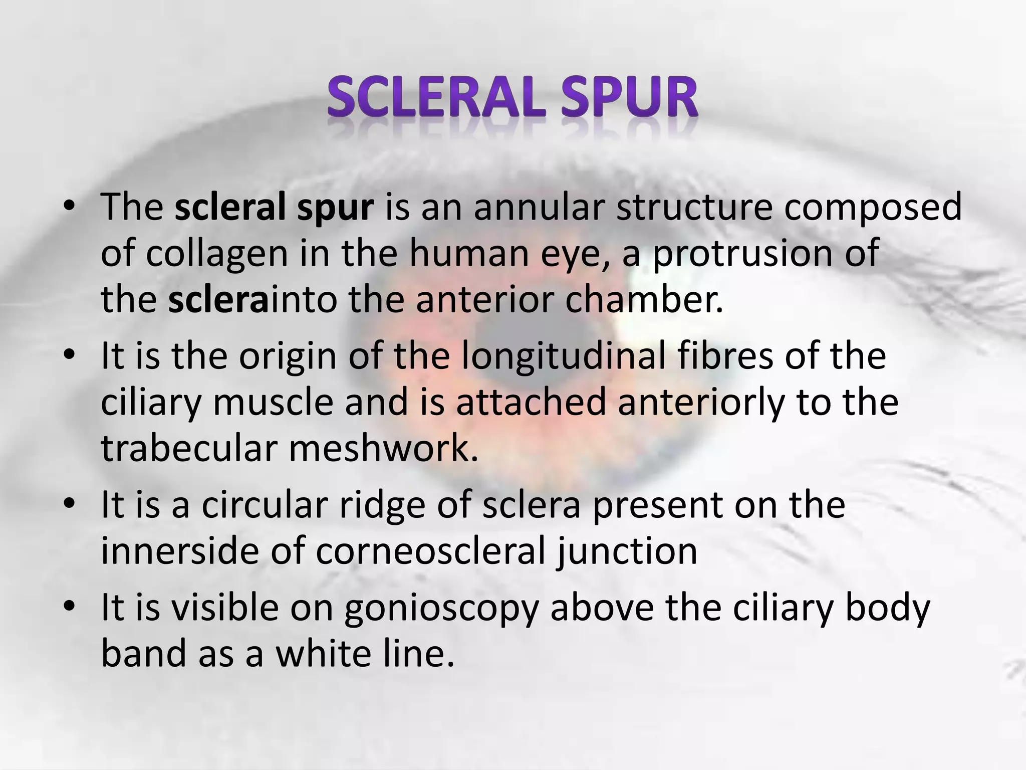anatomy of sclera | PPTX