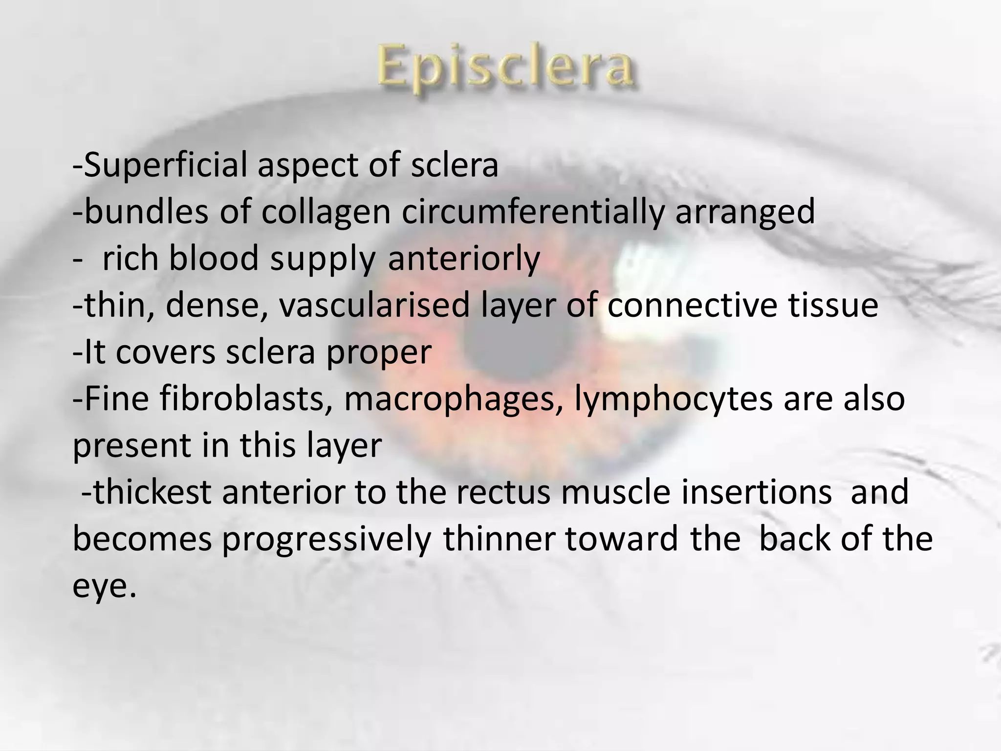 anatomy of sclera | PPTX