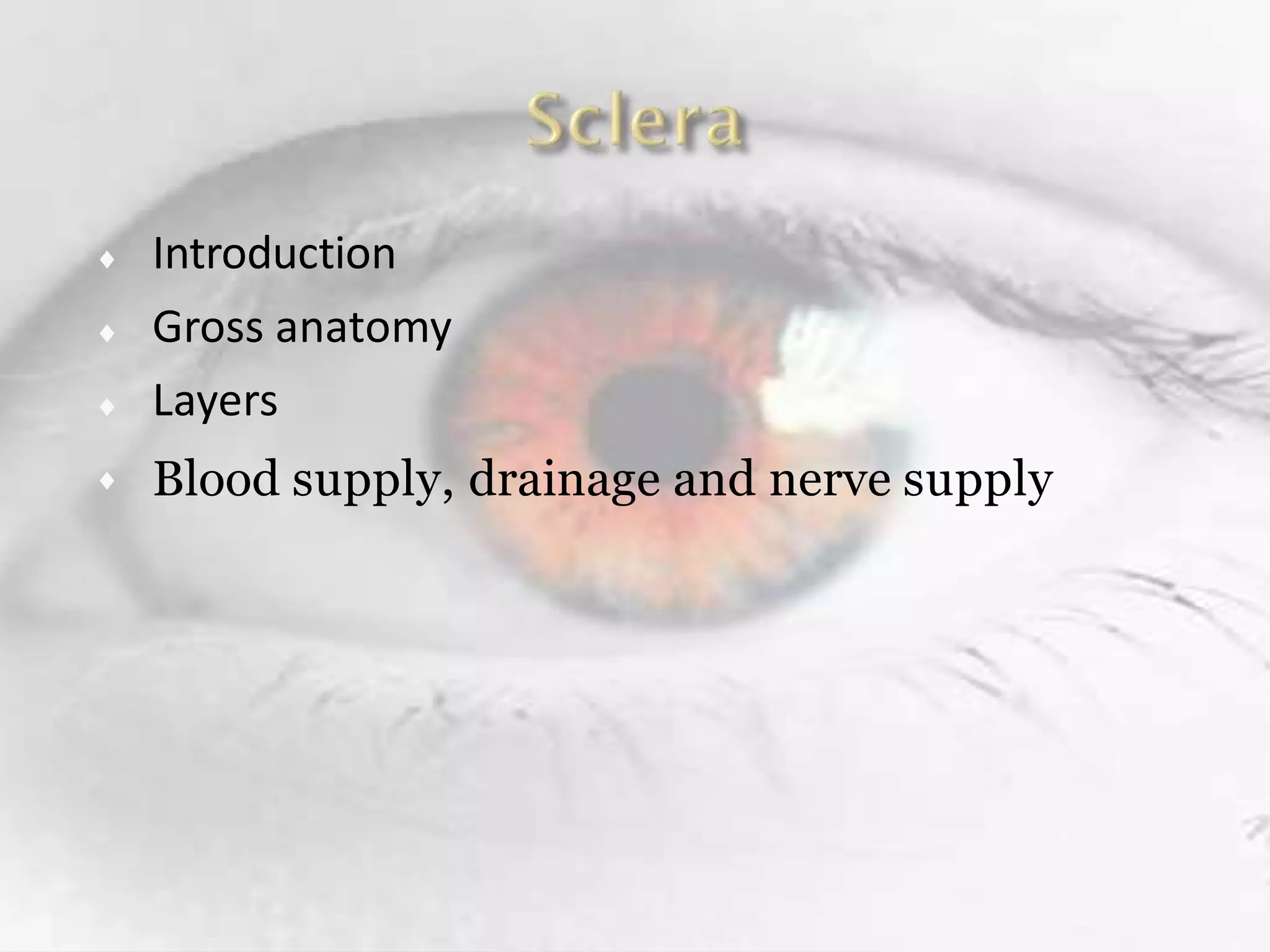anatomy of sclera | PPTX