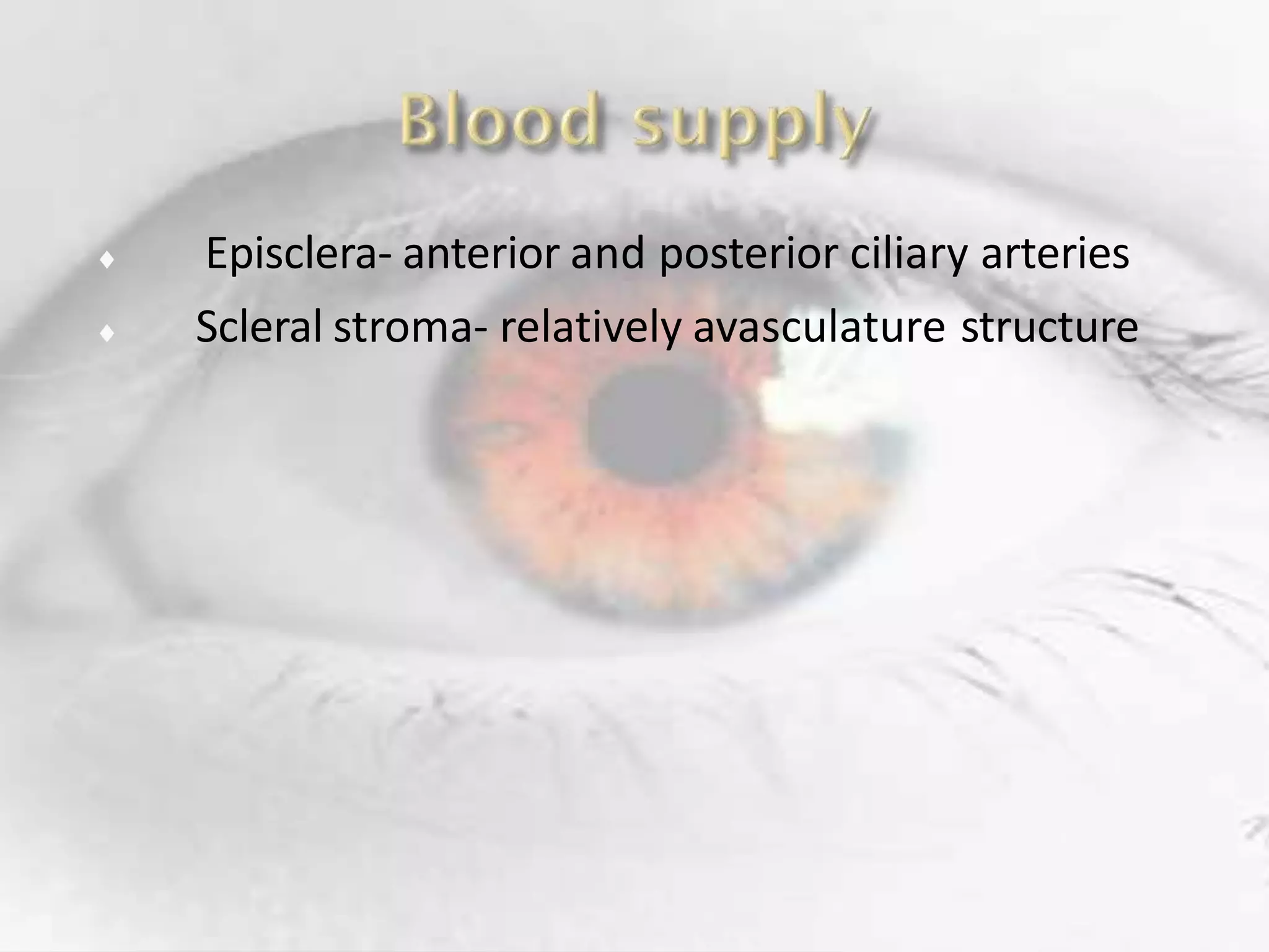 anatomy of sclera | PPTX