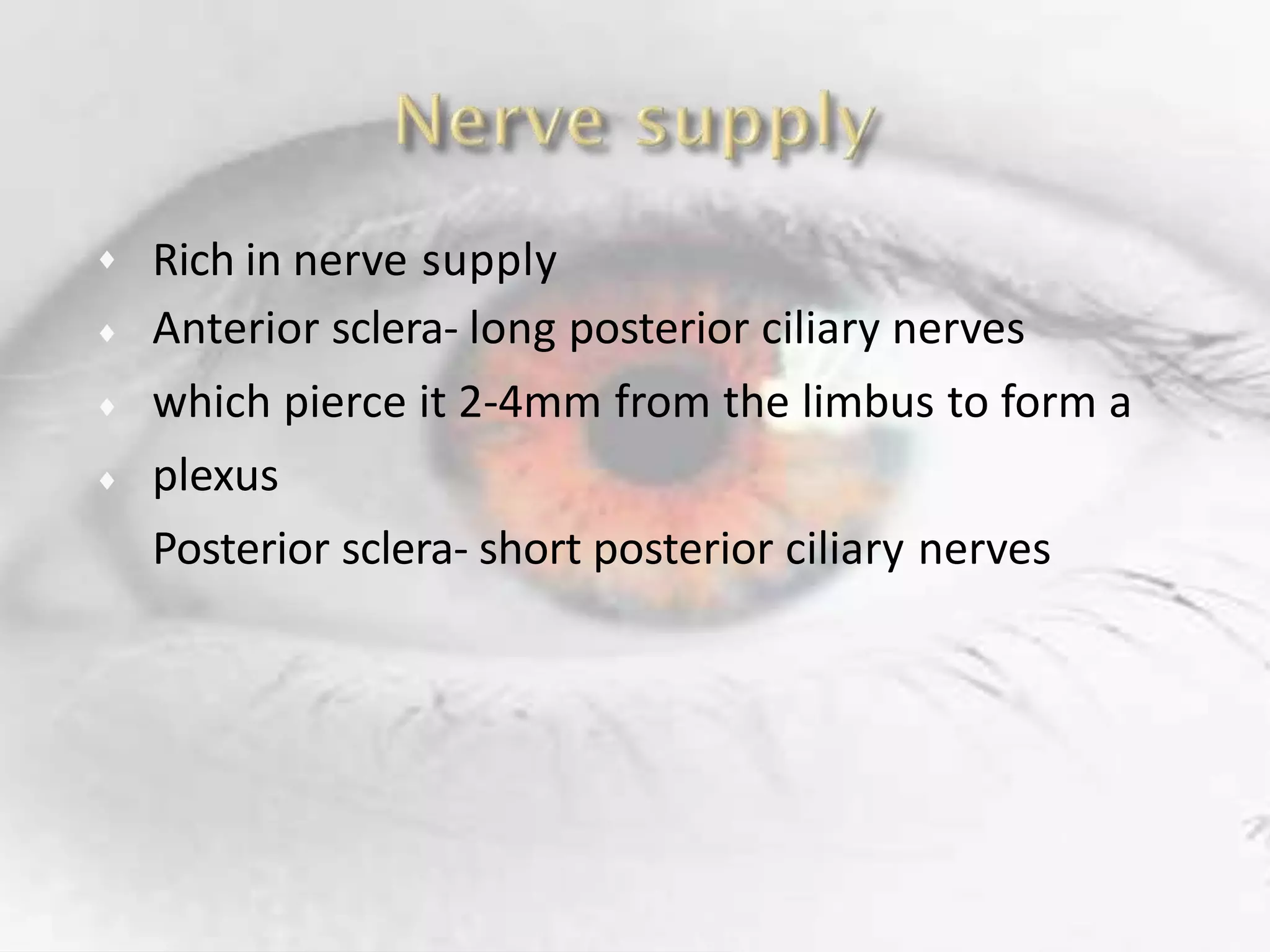 anatomy of sclera | PPTX