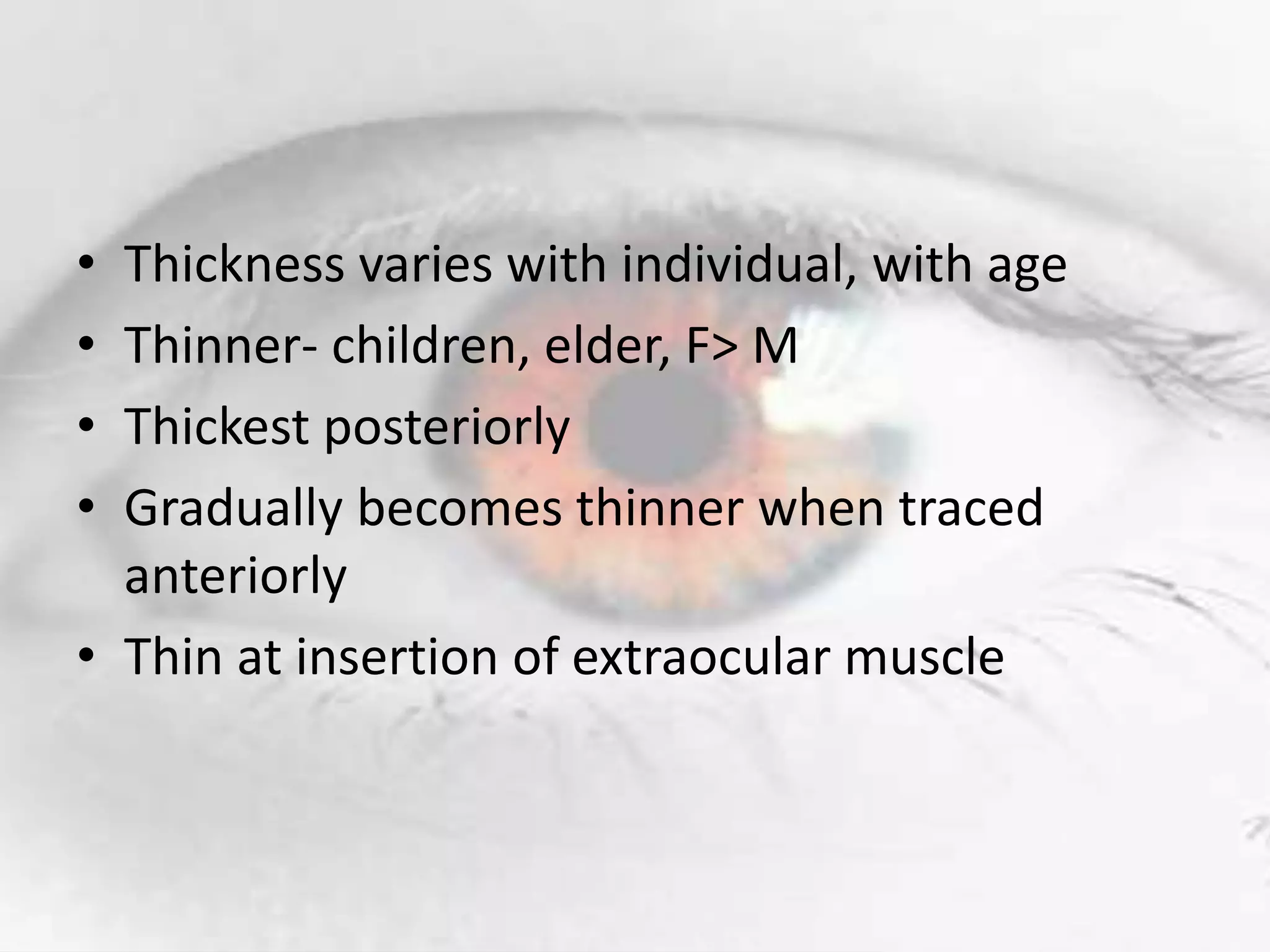 anatomy of sclera | PPTX