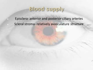 anatomy of sclera | PPTX