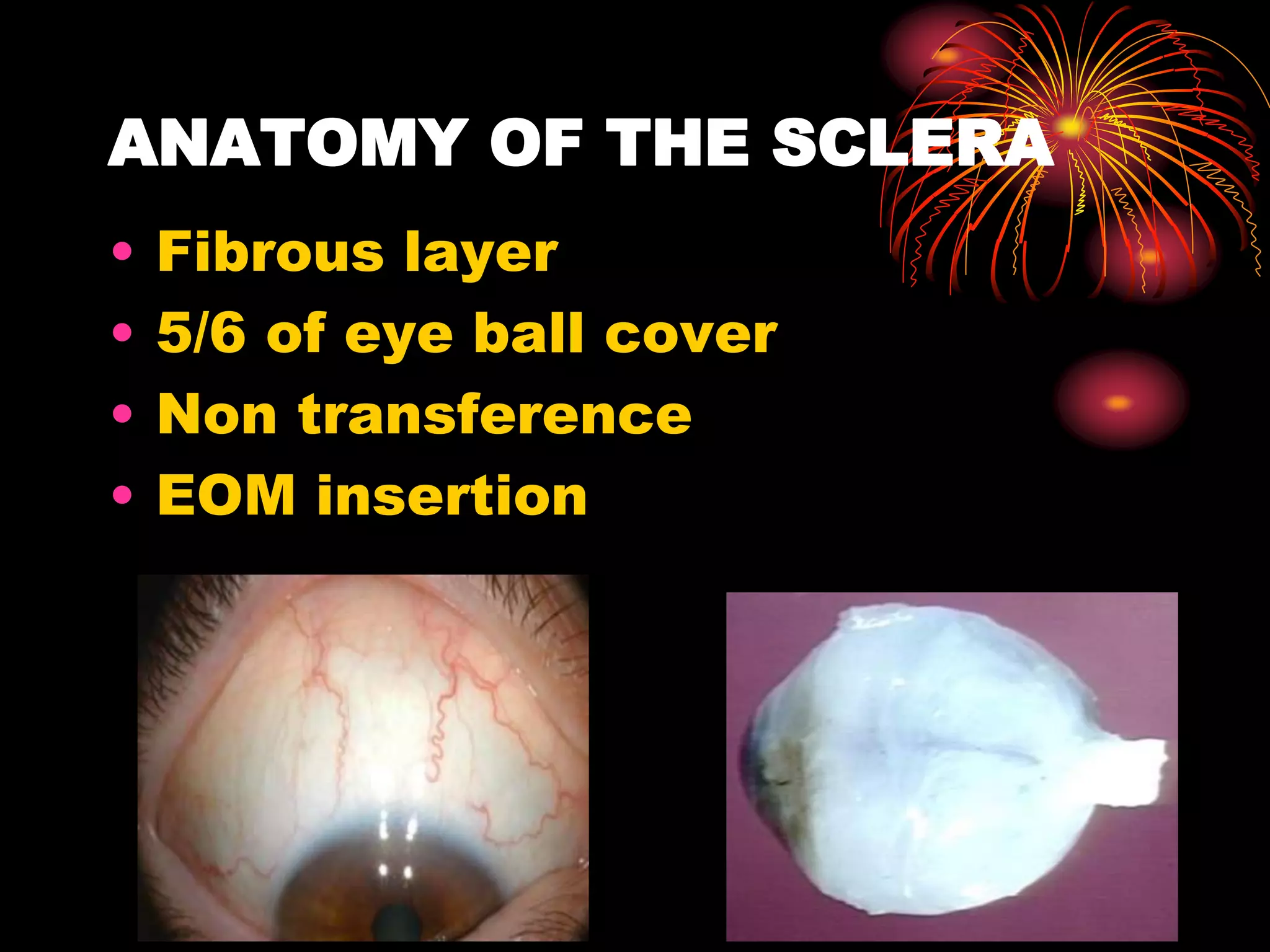 Sclera lecture by dr abdul basir safi | PDF