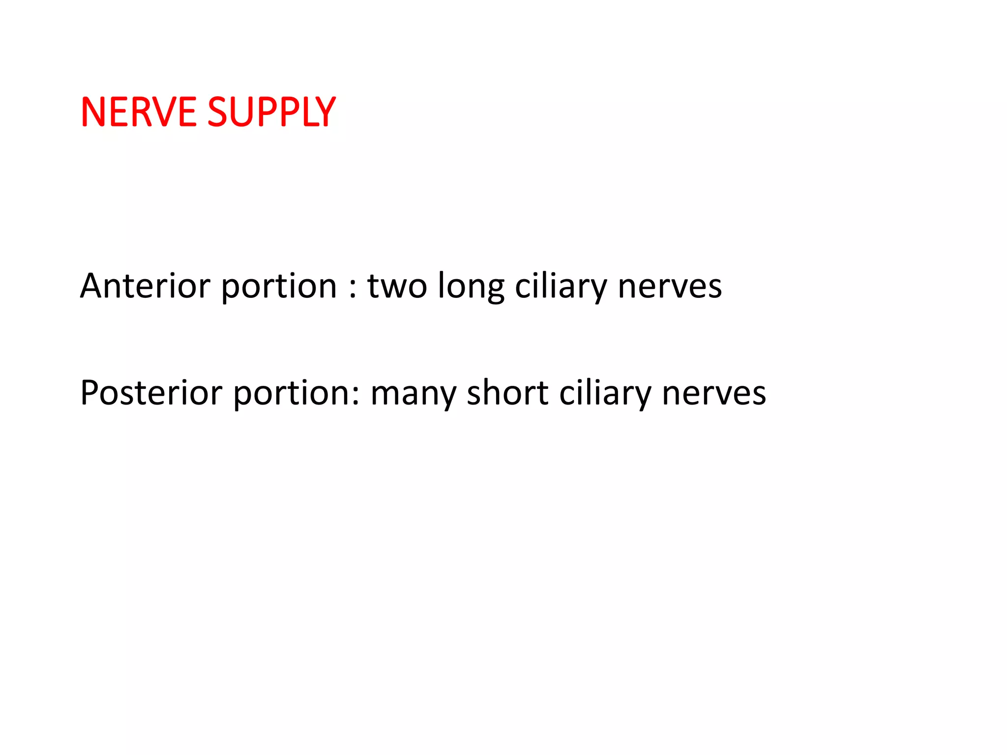 Tenon capsule ,Sclera and limbus : subash | PPTX