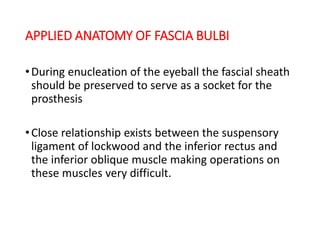 Tenon capsule ,Sclera and limbus : subash | PPTX