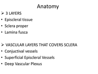 Scleritis | PPTX
