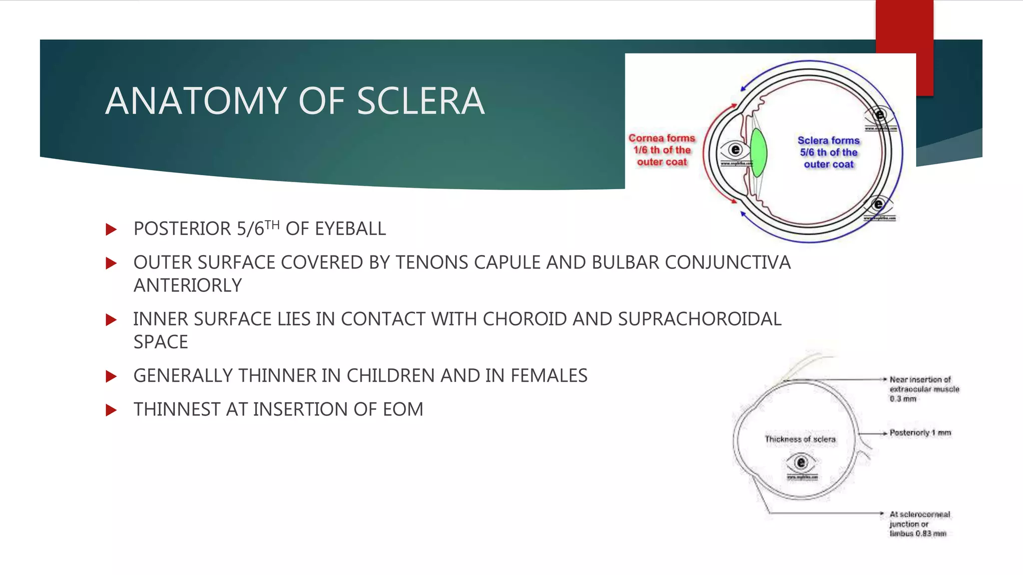 Scleritis and episcleritis | PPTX