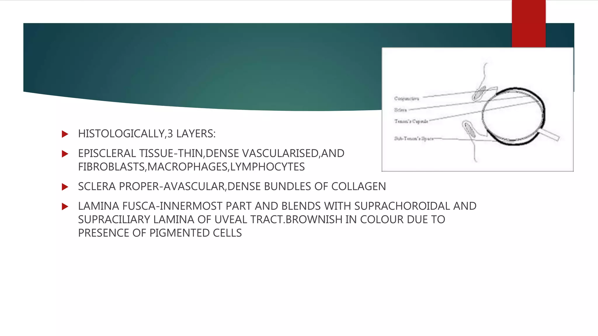 Scleritis and episcleritis | PPTX