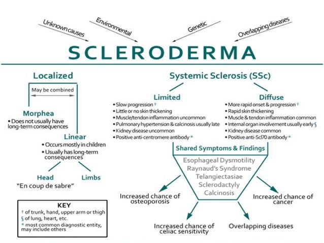 Scleroderma | PPT | Skin and Dermatology | Diseases and Conditions