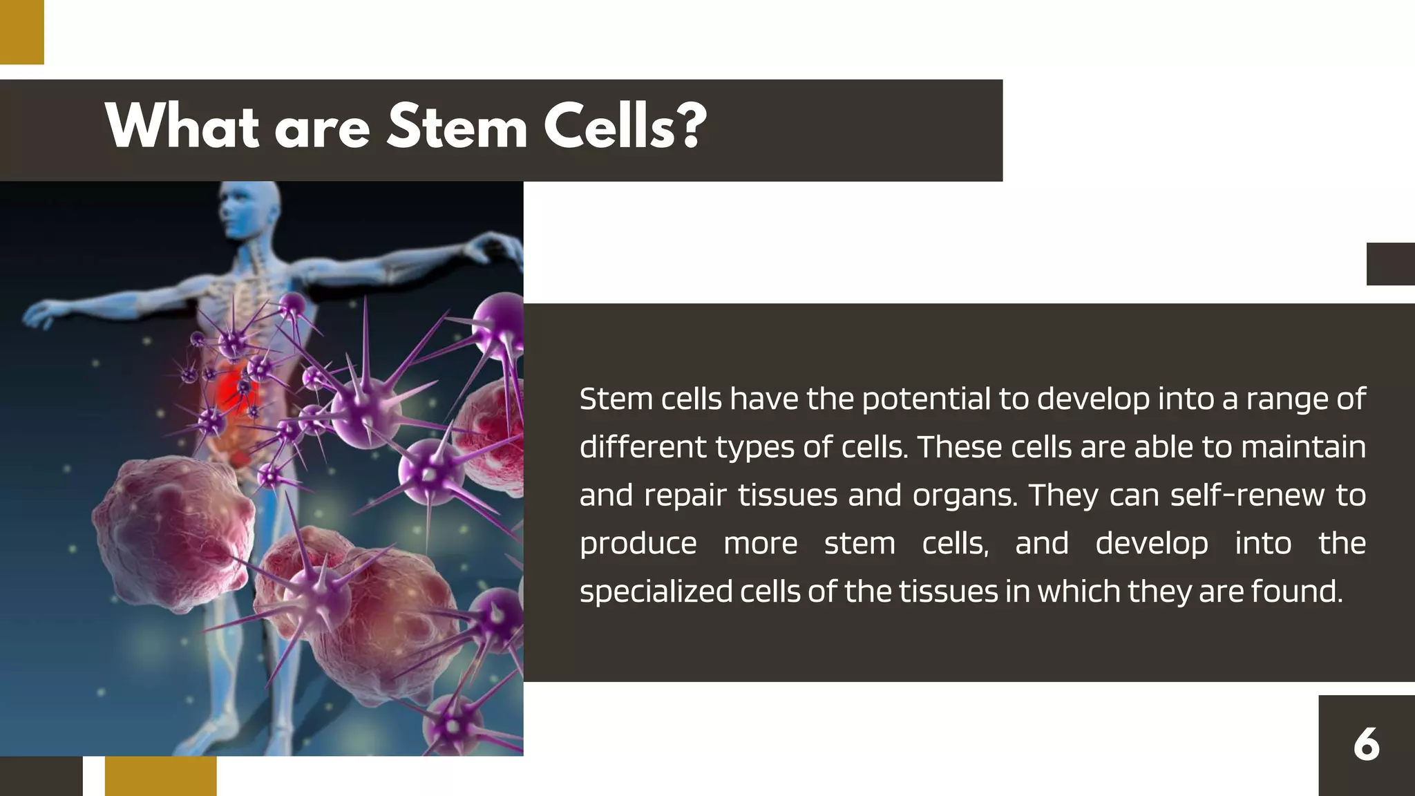 Scleroderma And Stem Cell Therapy - Dr. David Greene R3 Stem Cell | PPTX