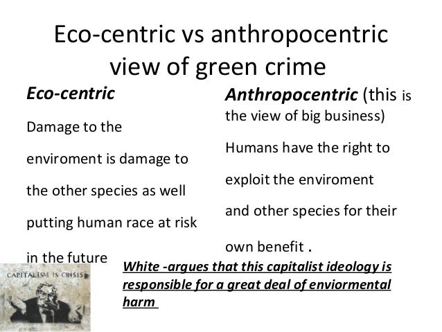 Scly 4 globalisation