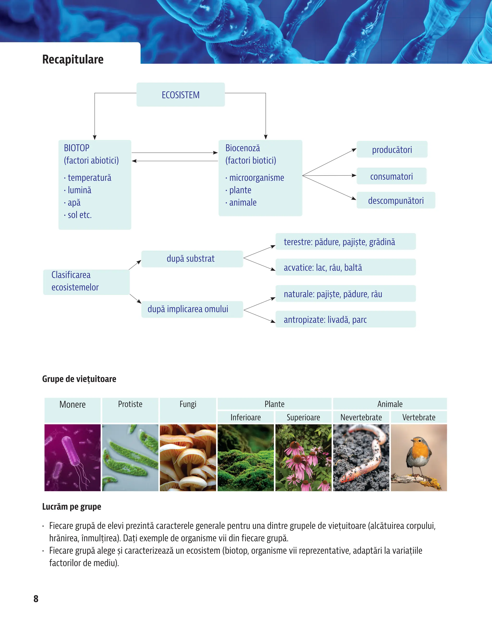 Biologie de clasa a VII a mmmmmmmmmmmmmmmmmmmmmmmmmmmmmmmmmmmmmmmmmmmmm ...
