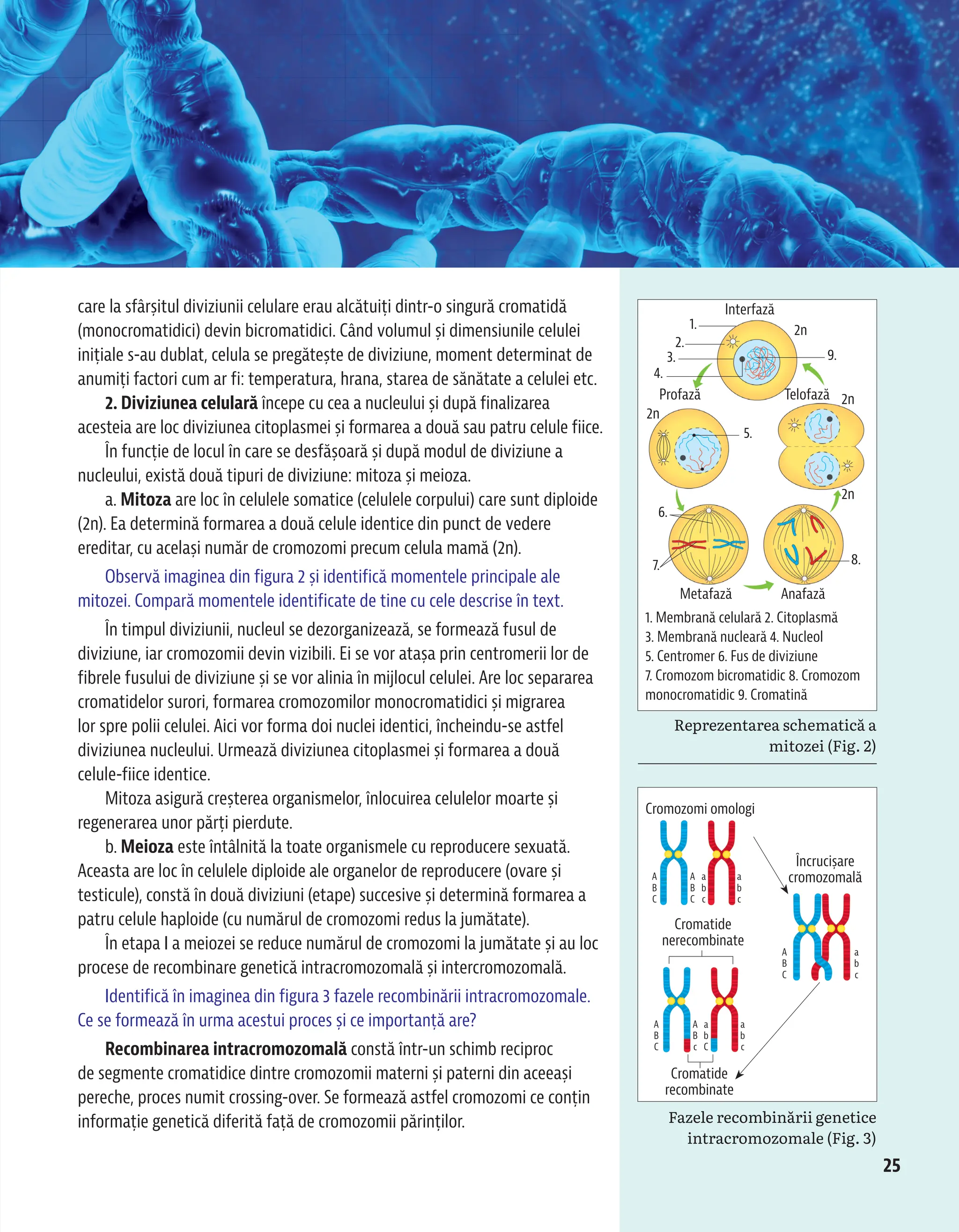 Biologie de clasa a VII a mmmmmmmmmmmmmmmmmmmmmmmmmmmmmmmmmmmmmmmmmmmmm ...