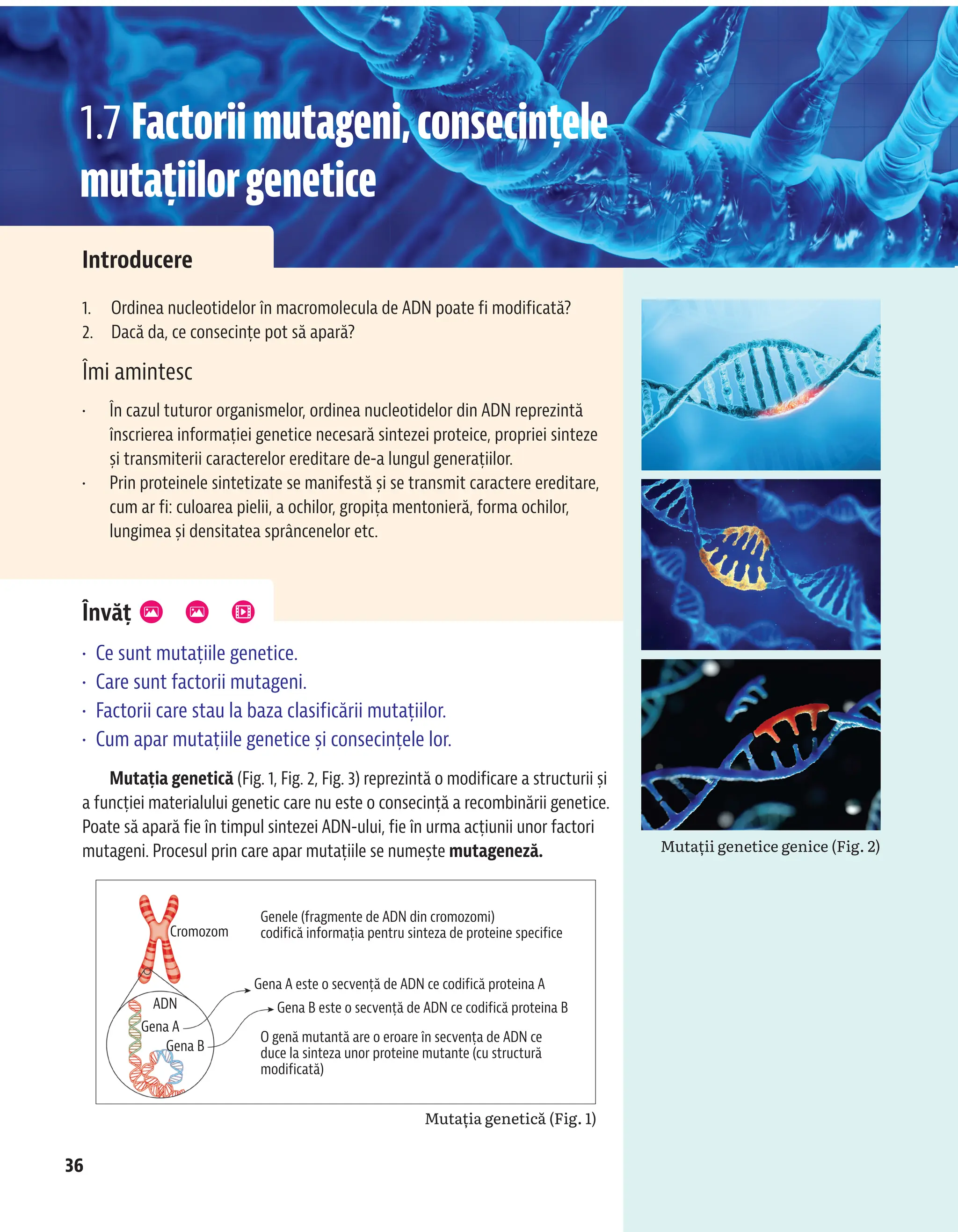 Biologie de clasa a VII a mmmmmmmmmmmmmmmmmmmmmmmmmmmmmmmmmmmmmmmmmmmmm ...
