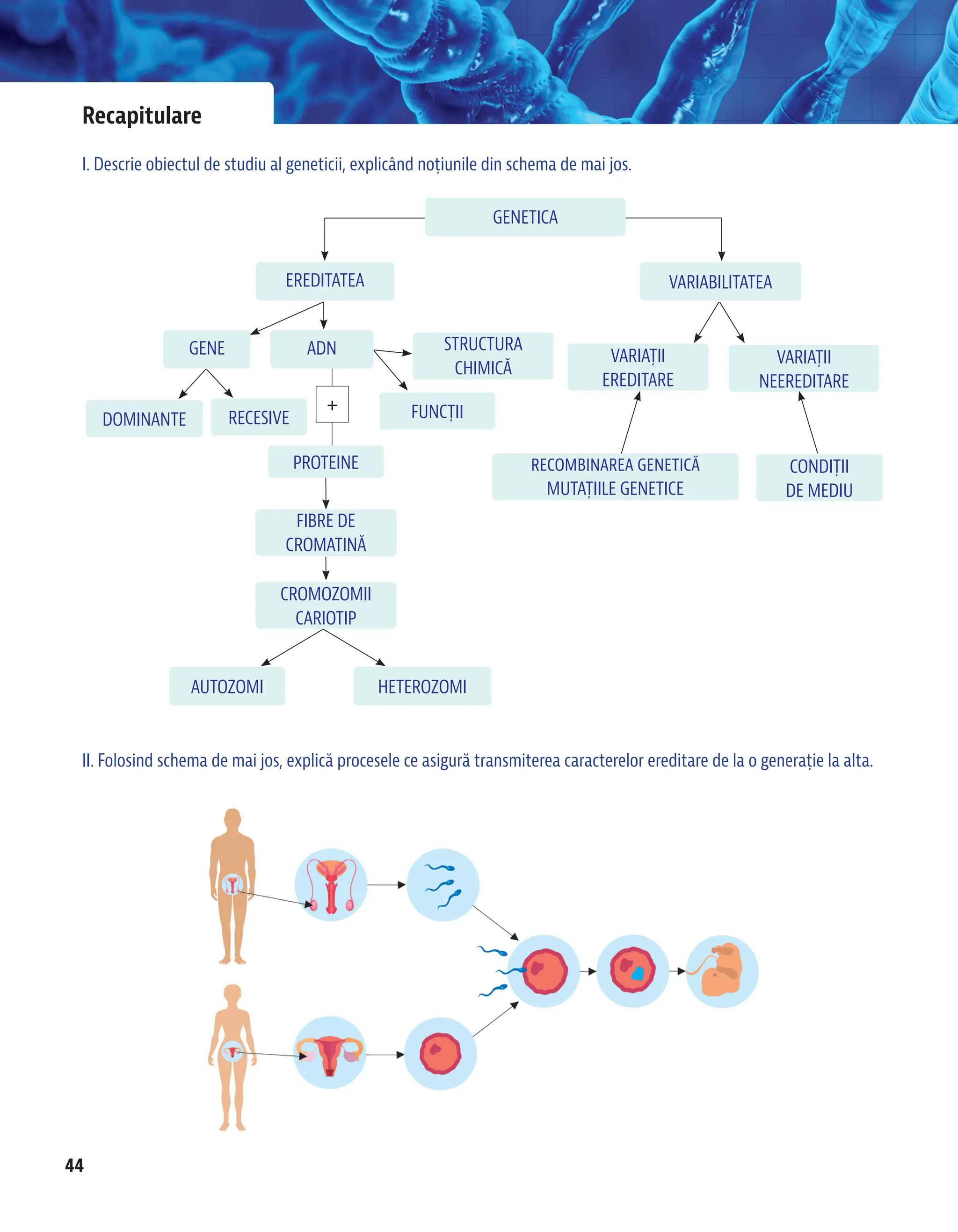 Biologie de clasa a VII a mmmmmmmmmmmmmmmmmmmmmmmmmmmmmmmmmmmmmmmmmmmmm ...