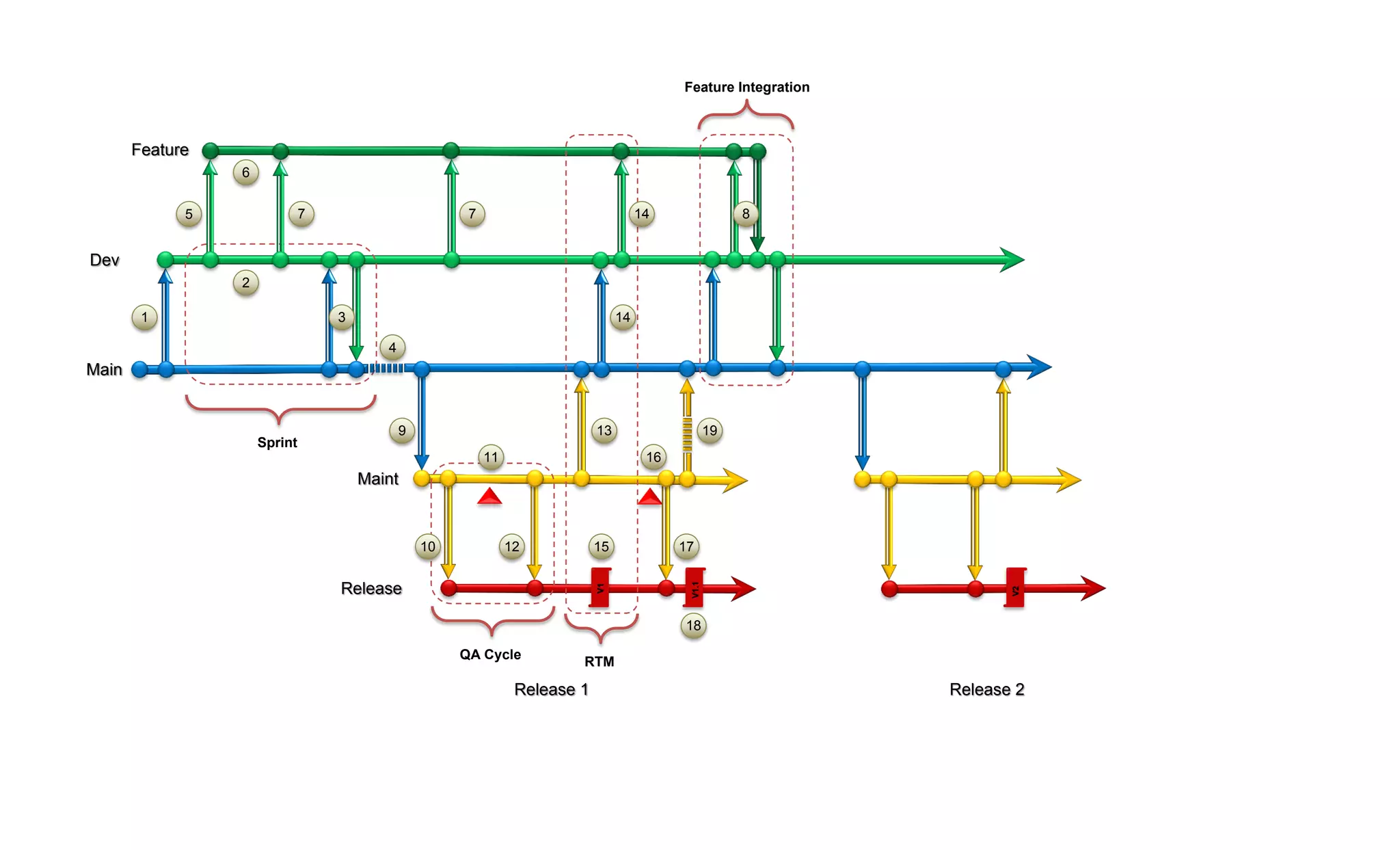 Scm branching diagram | PPT
